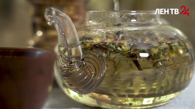 В новом выпуске Будим в будни Травник Денис Кайгородов поделился рецептом чая от тревожности.