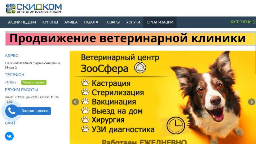 Продвижение ветеринарной клиники  на портале СКИДКОМ.рф (полный разбор)