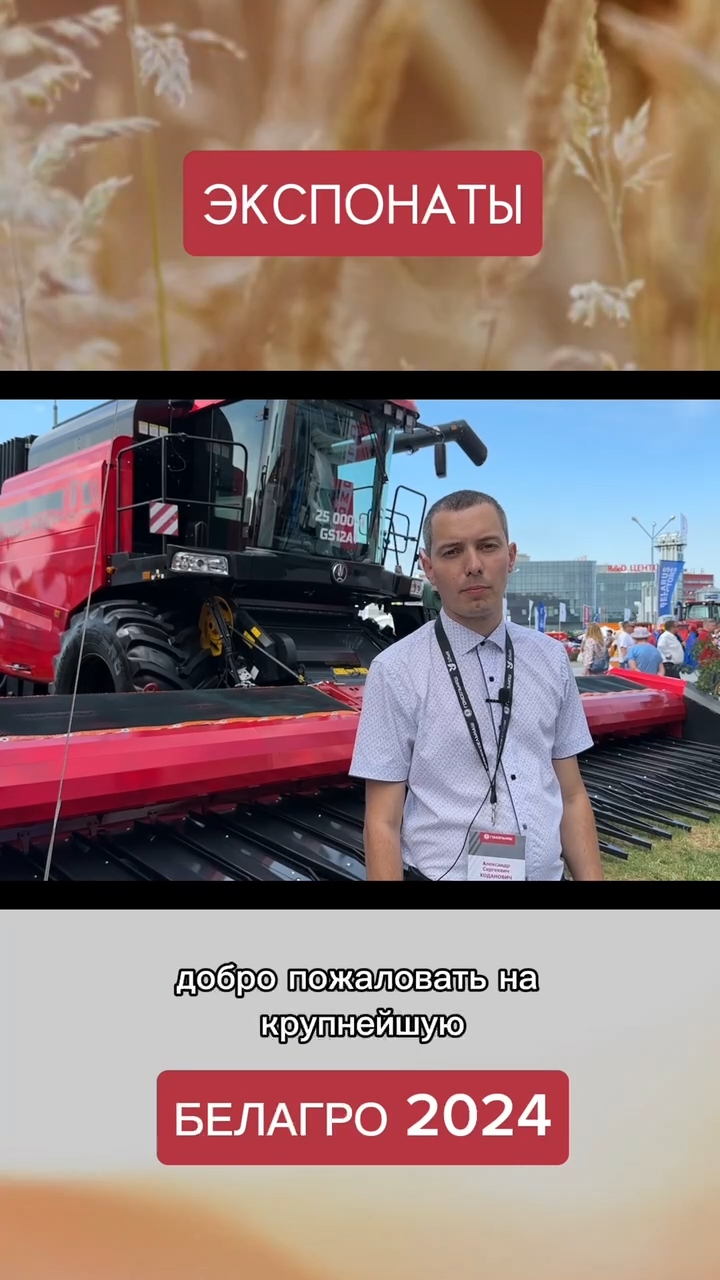Безрядковая жатка для уборки подсолнечника Белагро-2024.