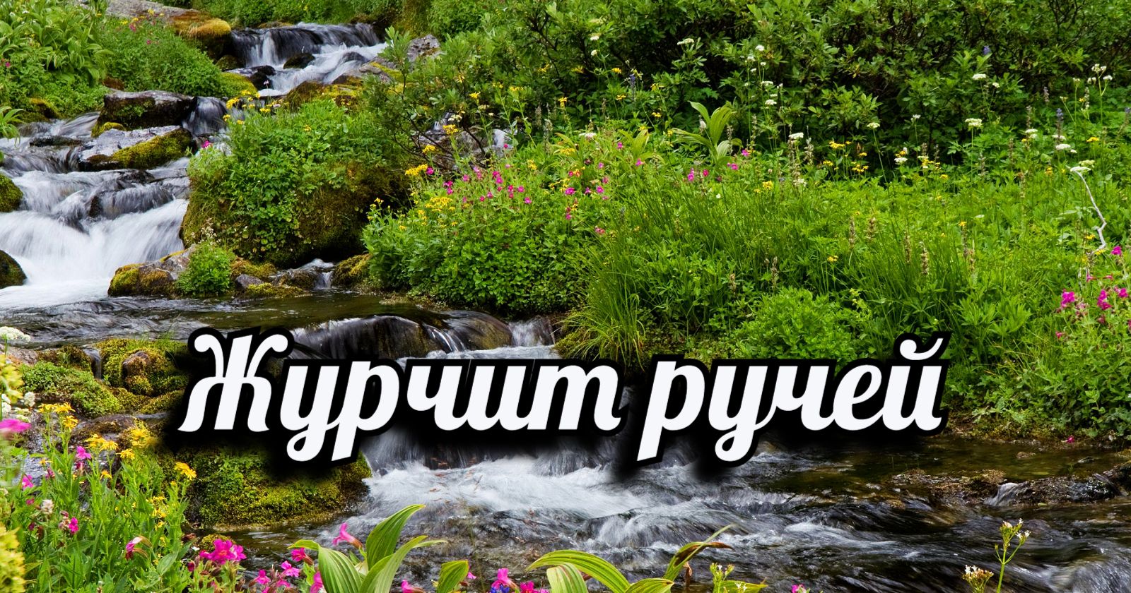 Журчит ручей.mp4