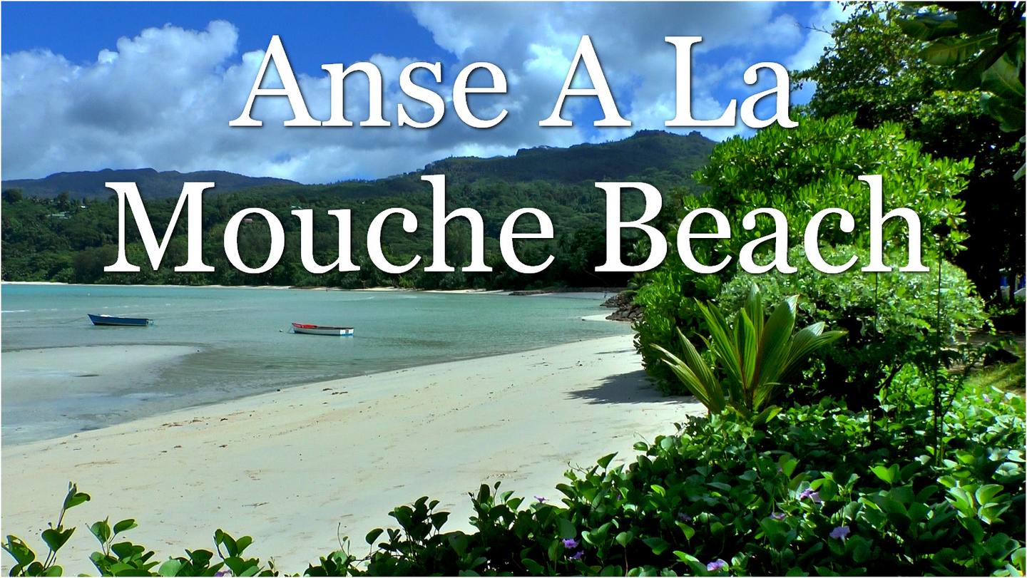 Сейшелы. Villas De Jardin. Anse A La Mouche Beach