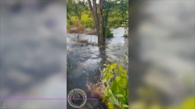 По шею в воде, но с РШГ-1 наперевес - выход российских военных из зоны затопления