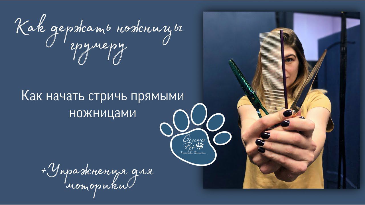 Как держать ножницы грумеру
