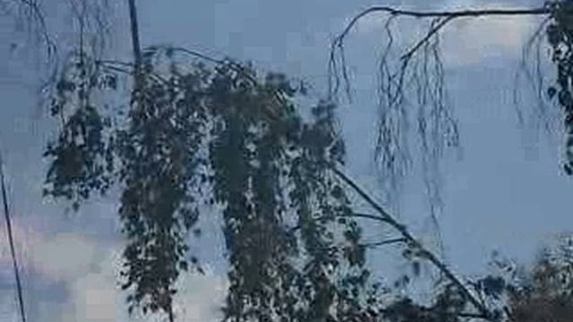 Белка боится прыгать 5858  DSCN5629