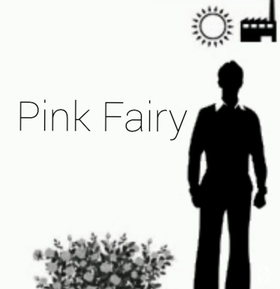 Почвопокровная роза Пинк Фэйри" Pink Fairy". Groundcover Rose Pink Fairy