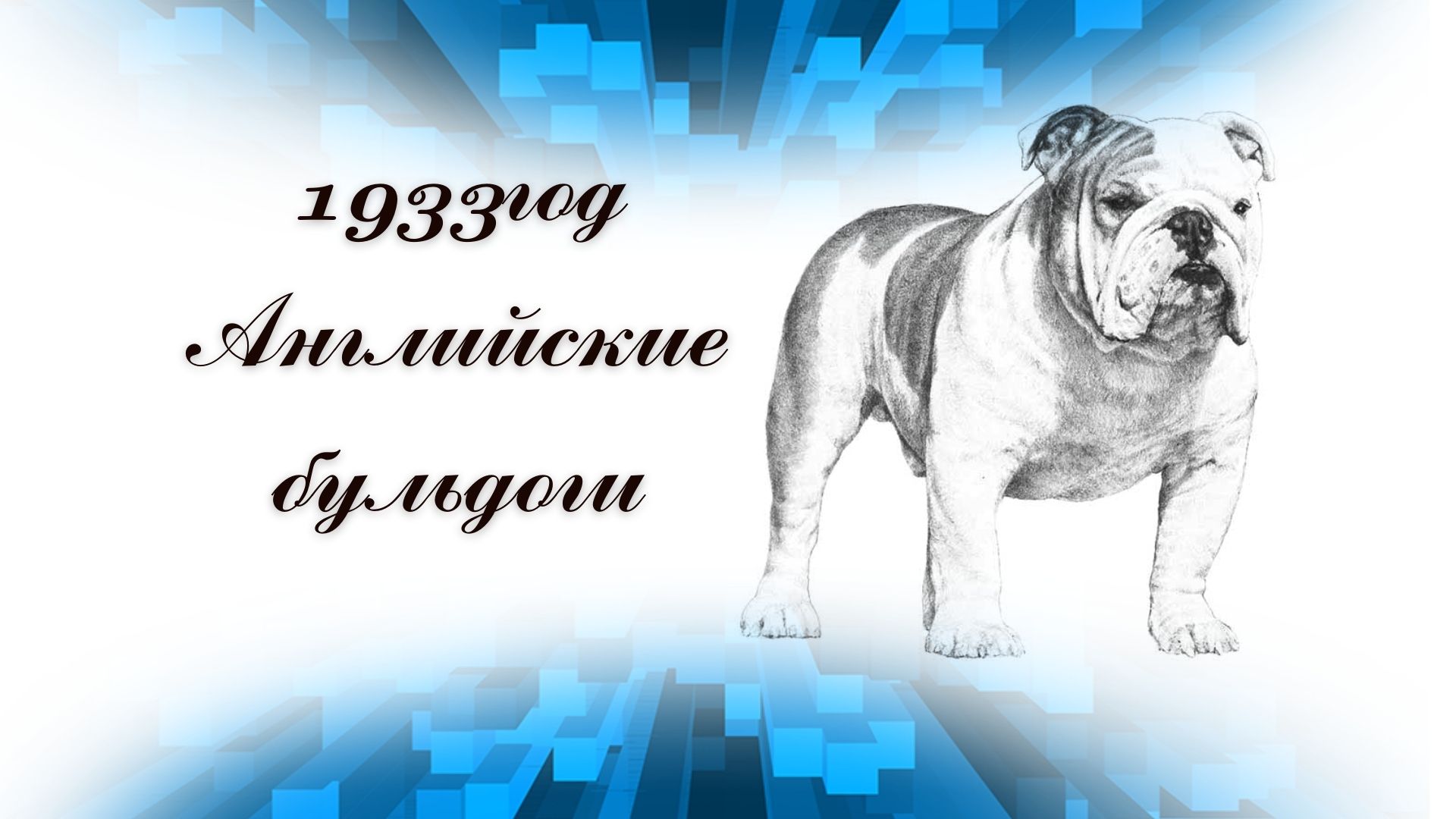 1933 Английские бульдоги в питомнике