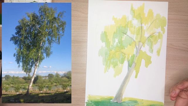 Этюд березы.mp4