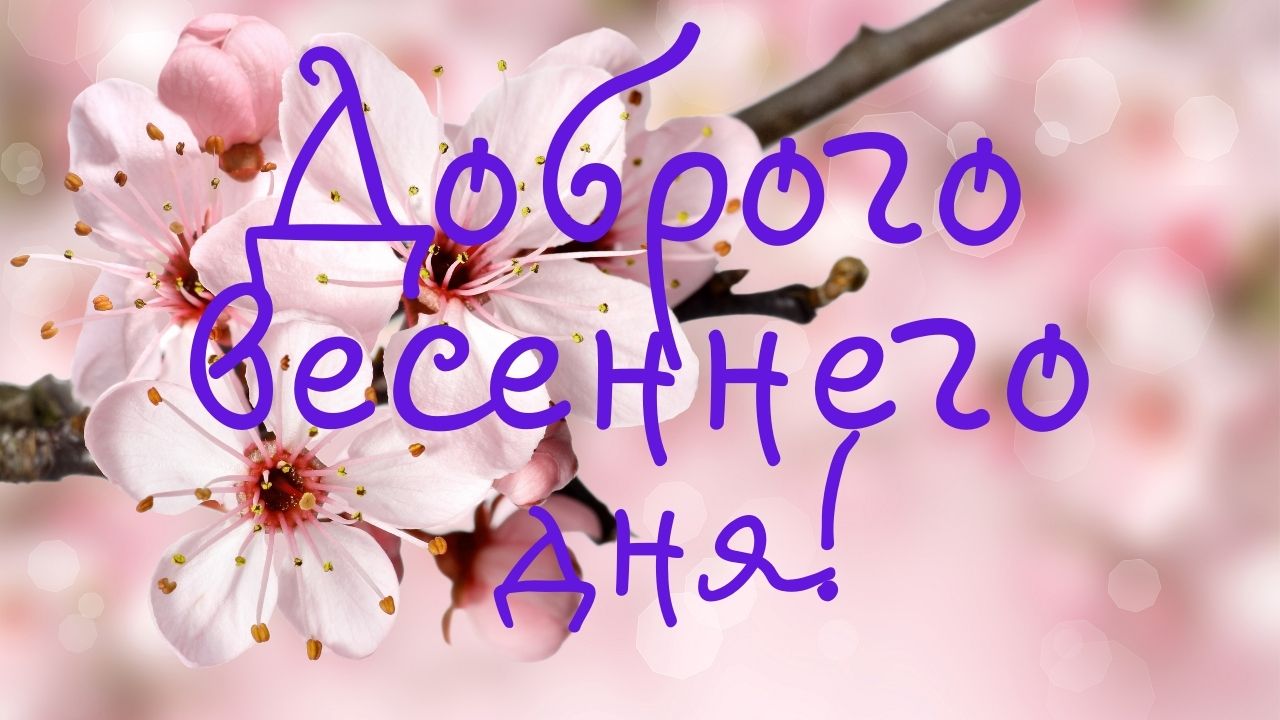 Желаю хорошего дня! Цветы в саду