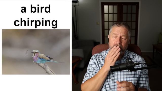 Let's Learn English! Topic_ Common Sounds! (Lesson Only)