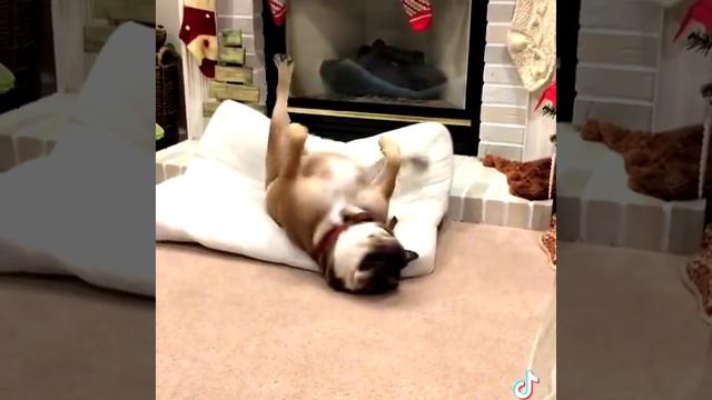 Брейк на олимпиаде в Париже