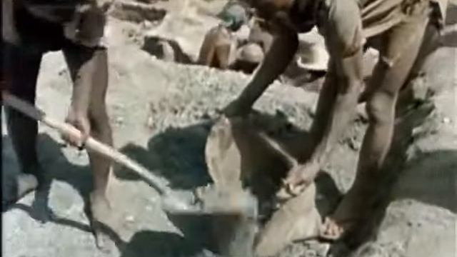 57 1984 Золотая река - Подводная одиссея команды Кусто