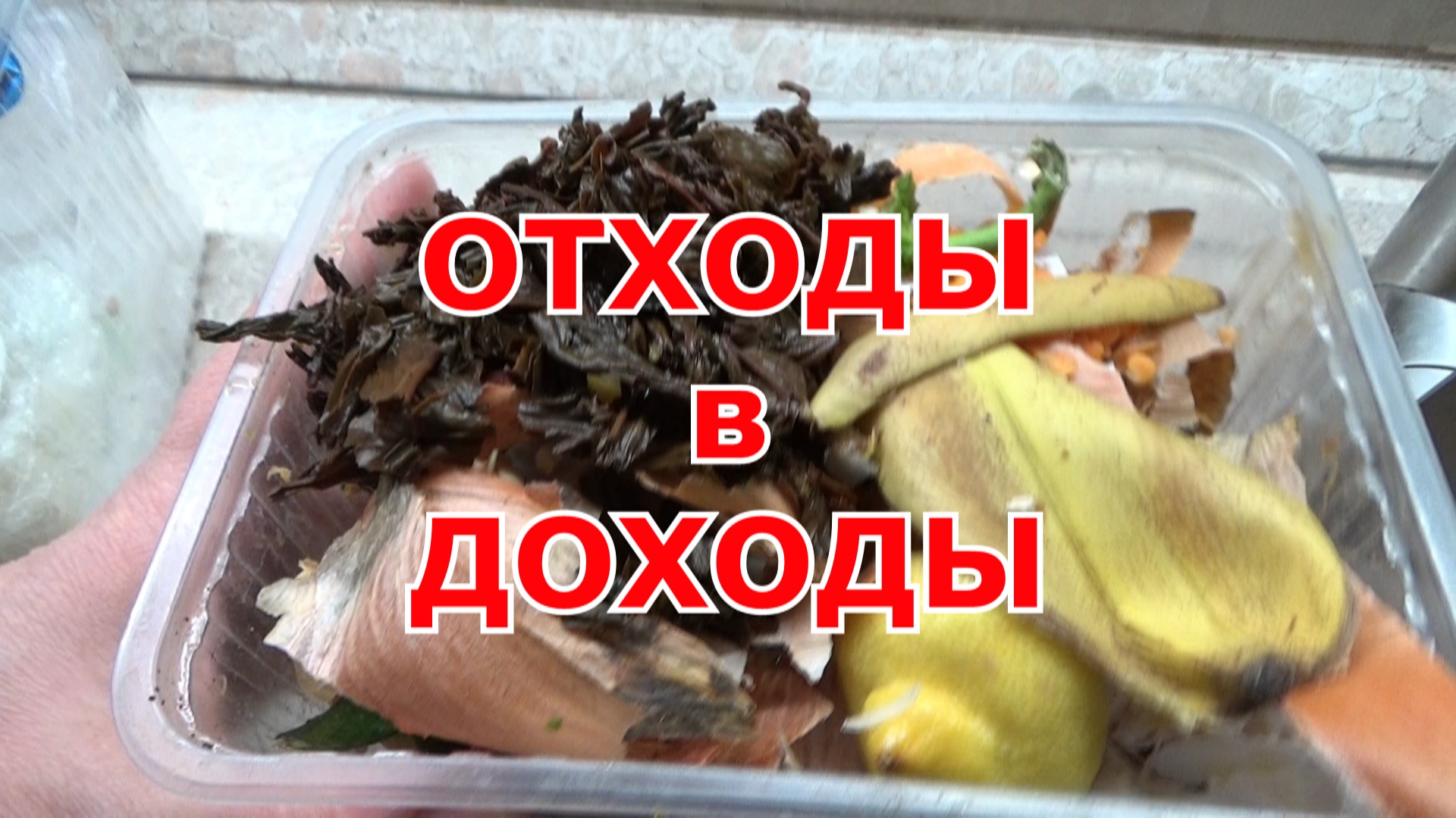 Пищевые отходы превращаем в ценное удобрение, ферментация кухонных отходов улучшаем почву на участке