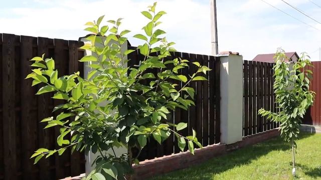 Оформили дом в собственность спустя несколько лет