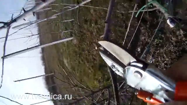 Секаторы LOWE 12 серия