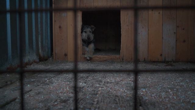 Дело имеет значение