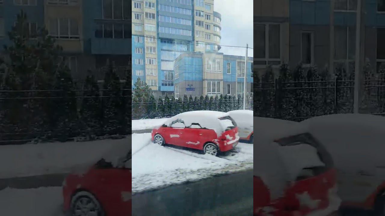 ЗЕЛЕНОГРАДСК В СНЕГУ. ДЕКАБРЬ 2022