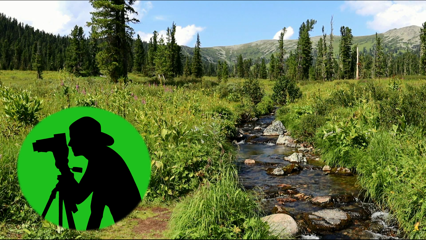 Ручей в Саянских горах / Журчание воды и пение птиц для крепкого сна и лечения депрессии