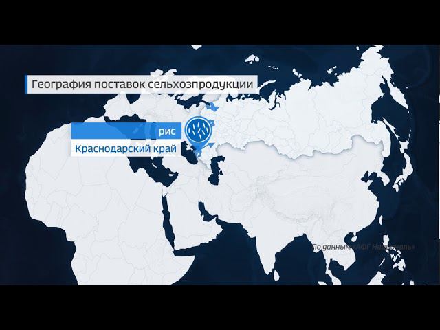 2018. Экспорт с/х продукции. Россия24