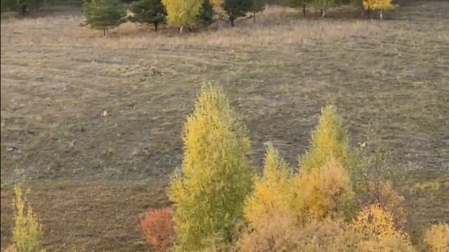 Усадьба Горки. Обзор Домика Пчеловода!