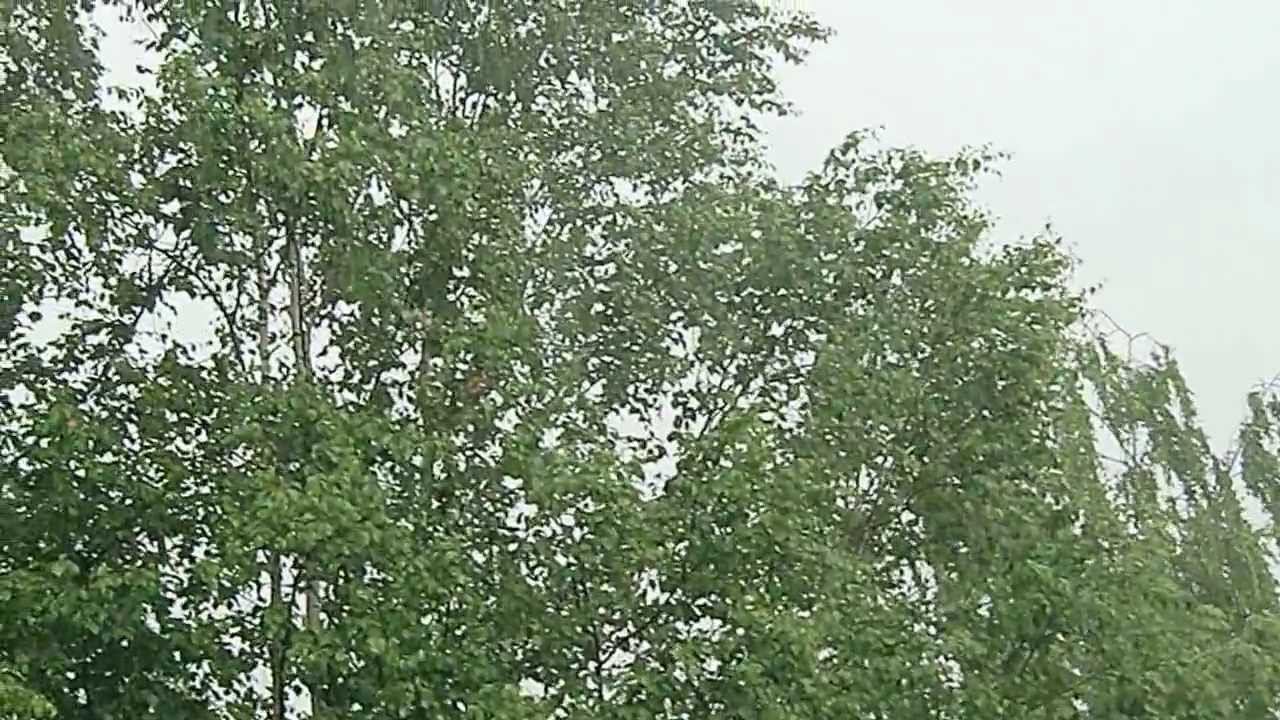 Гроза в Москве