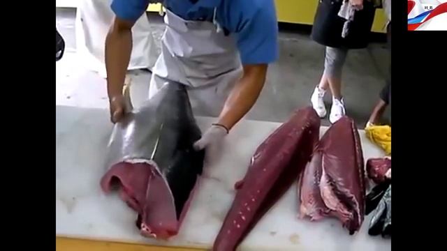 Как правильно разделать тунца Разделка рыбы