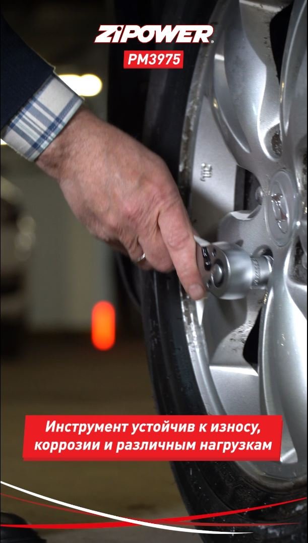 Набор торцевых головок с трещоткой и удлинителем, 12 шт ZiPOWER PM3975