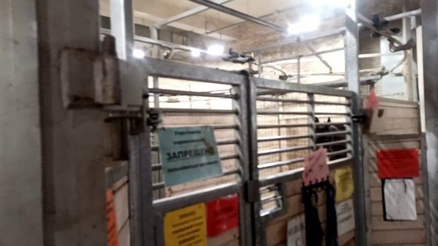 VID_20220514_104854.3gp