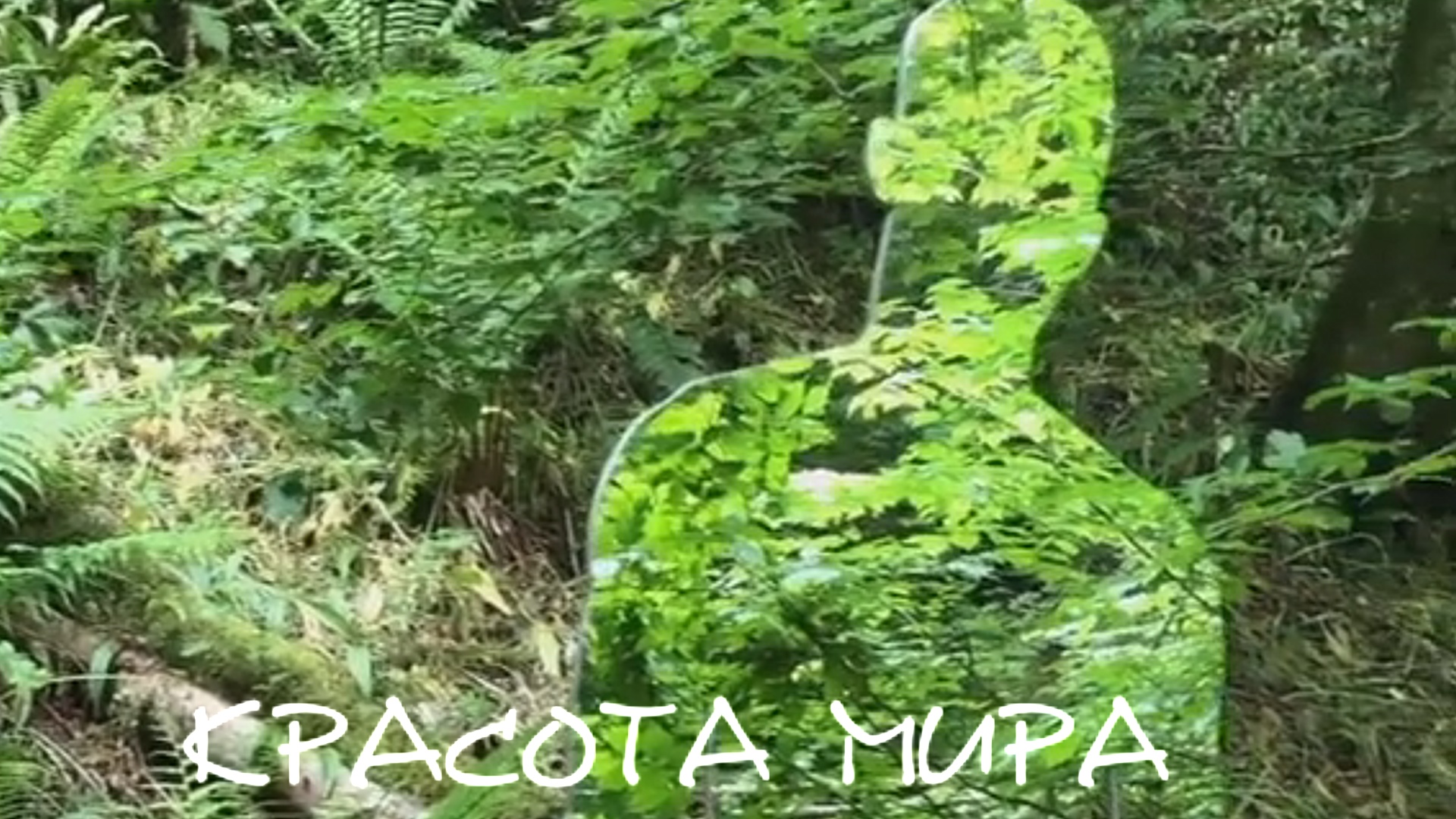 Стеклянные скульптуры-призраки в Шотландии, красота мира.mp4