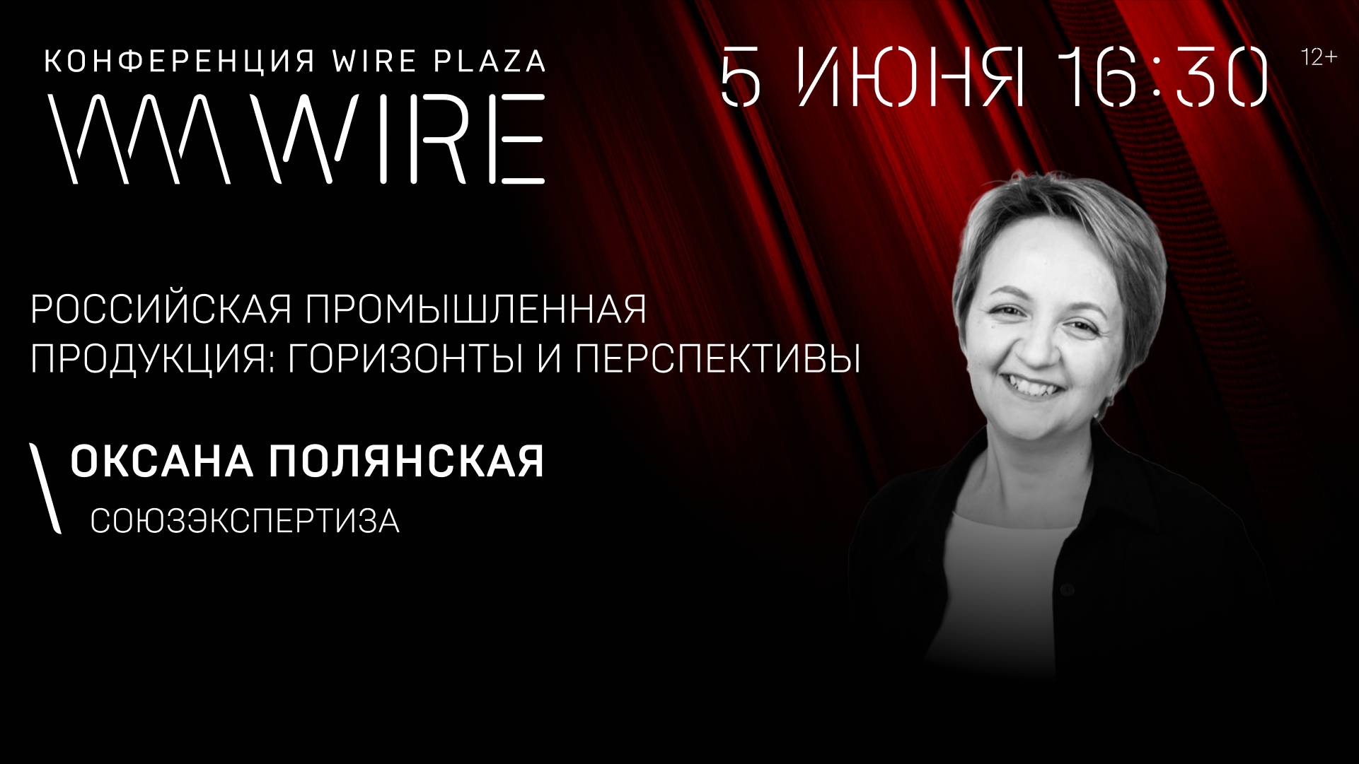 WIRE PLAZA_ Оксана Полянская, СОЮЗЭКСПЕРТИЗА