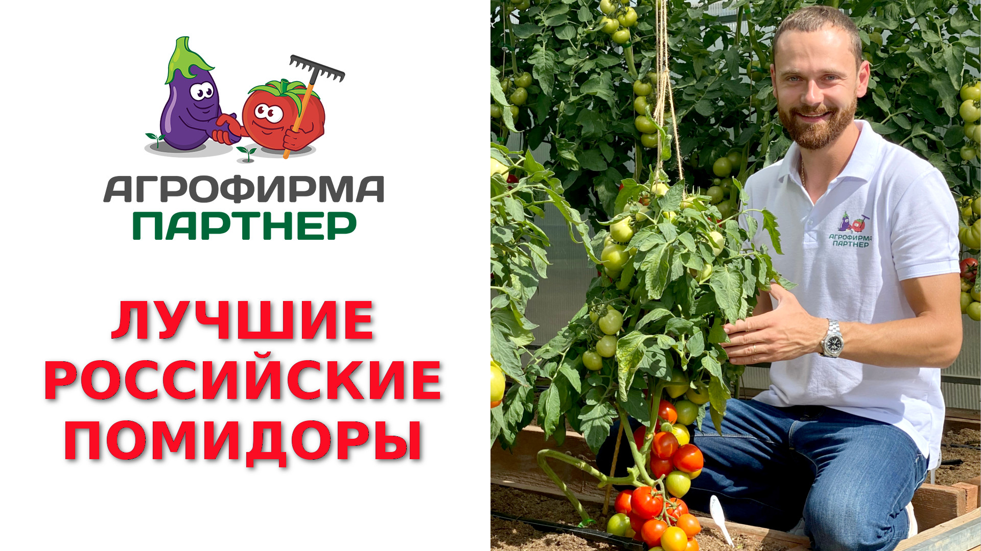 ЛУЧШИЕ РОССИЙСКИЕ ПОМИДОРЫ. ДОСТИЖЕНИЯ  СЕЛЕКЦИОНЕРОВ 2021