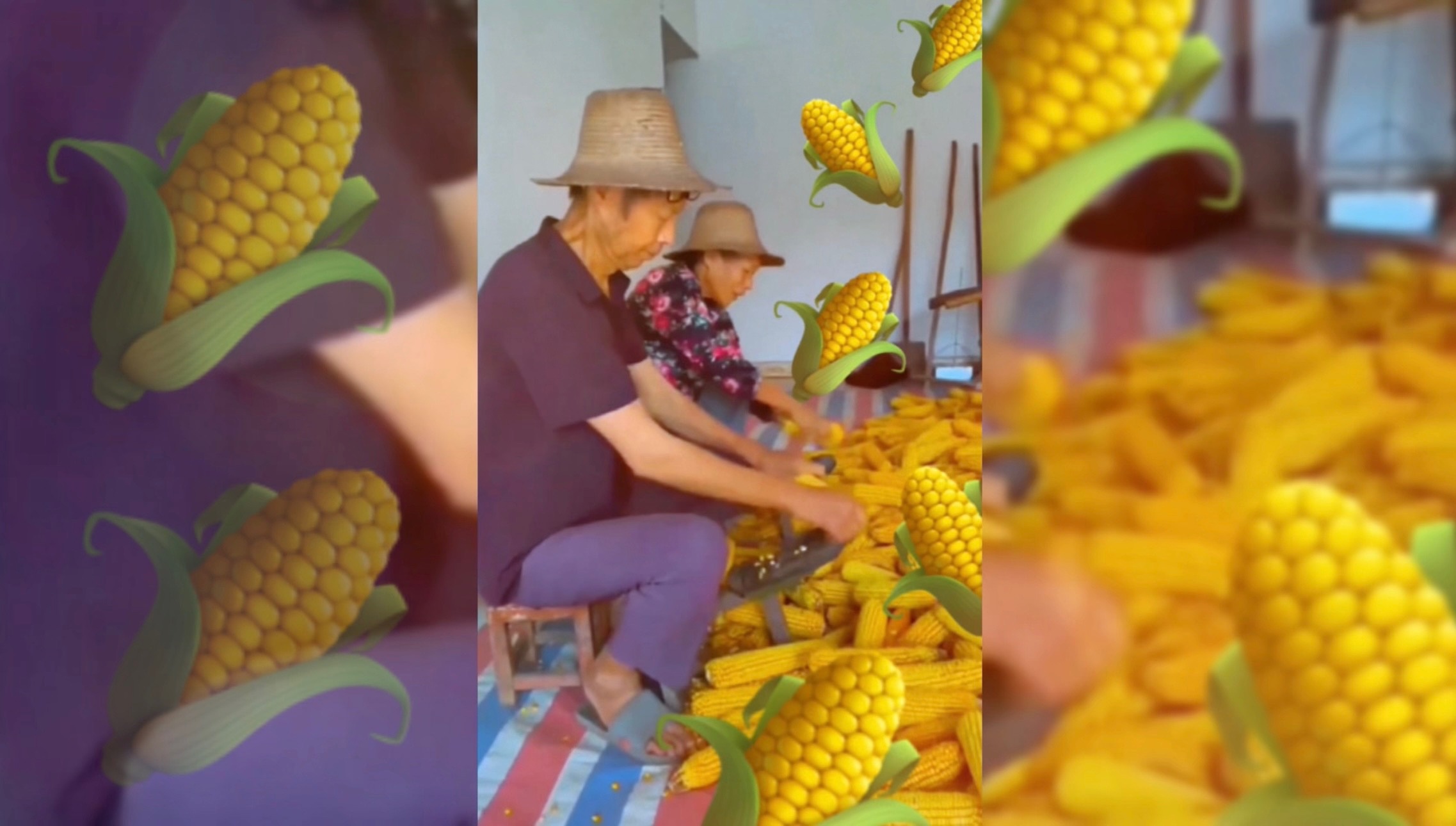 Поел кукурузки...