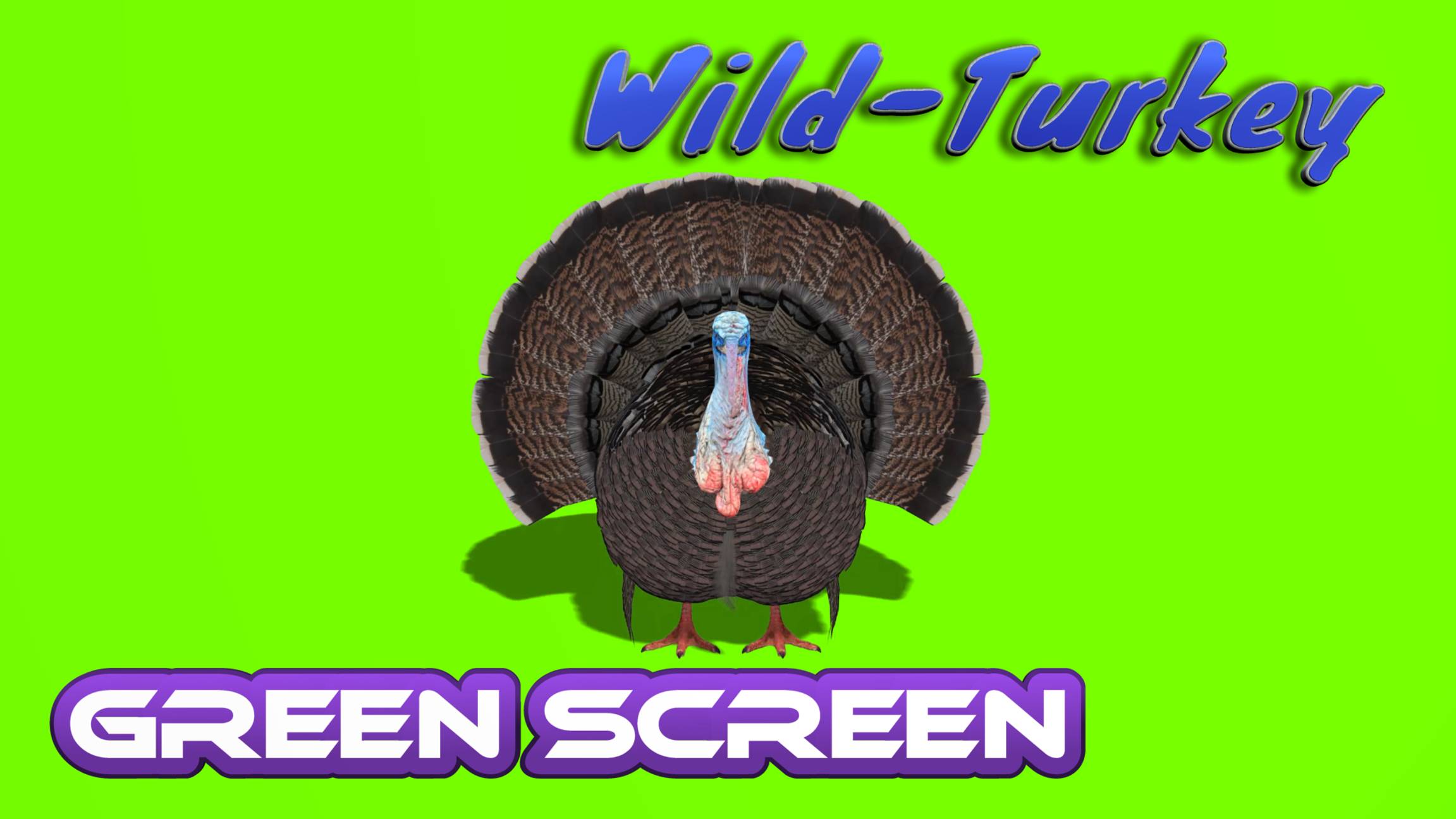 Green Screen - Дикая Индейка (Wild Turkey)