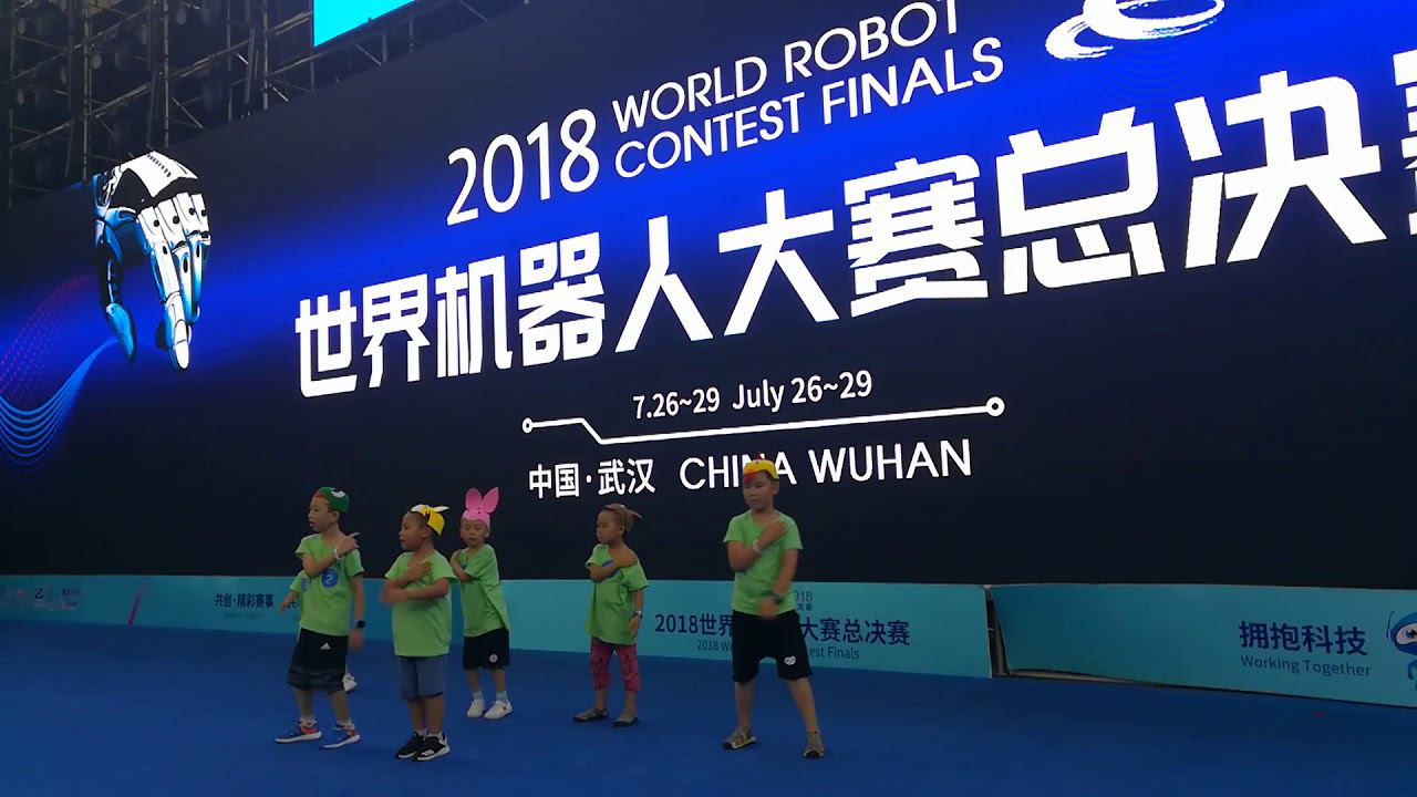 Robocom 2018, Wuhan, China, Russian Team, Novosibirsk, Technoprom2018, DoboSpace