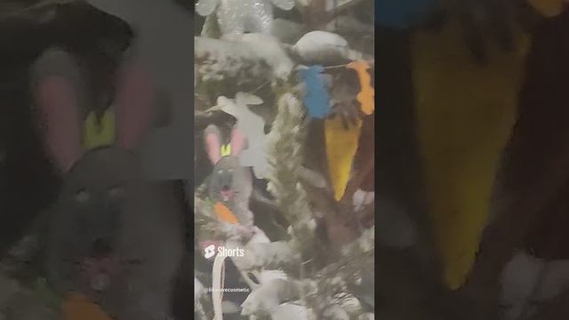 #shorts Вот еще одна красавица! ???❤?