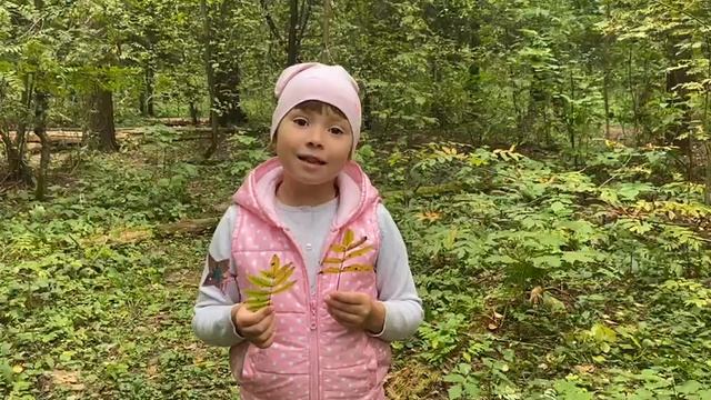 Стихотворение "Золотой клубочек" читает Дарья Л. 6 лет