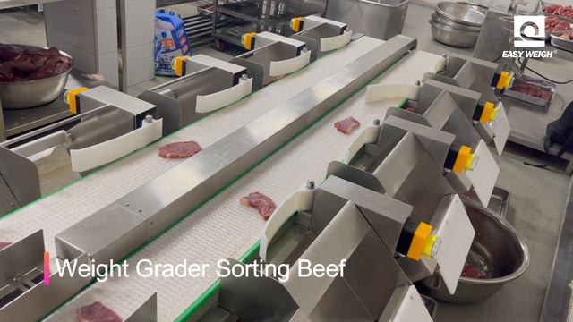 Весовой сортировщик - говяжьи стейки