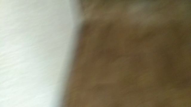 Прятки в гостях у Савелия