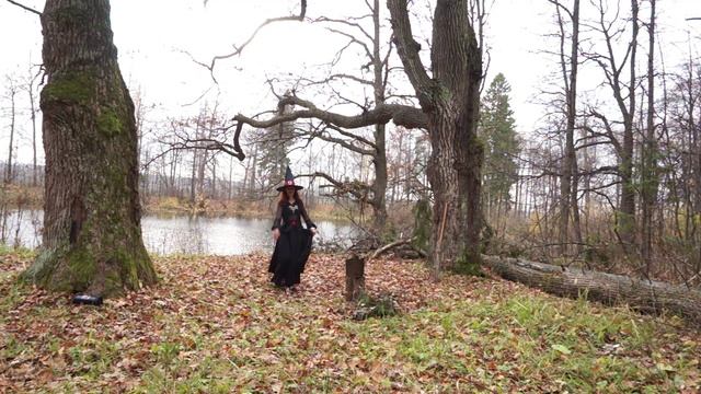 Вальс с помелом v.3