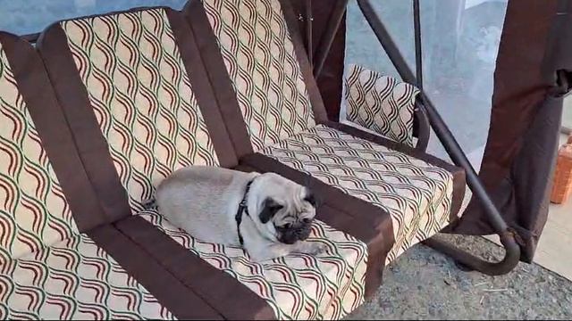 Оливье, качаемся на качелках