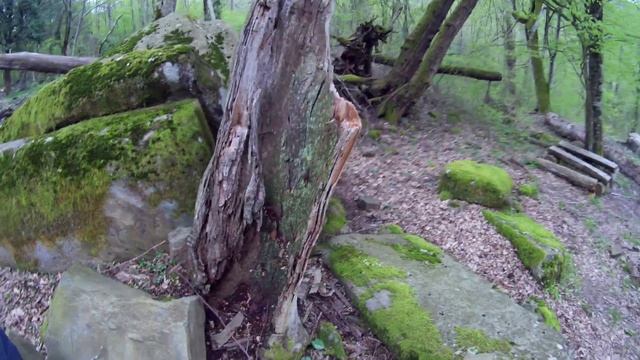 Дольмены Калэжтам, Сочи, Лазаревское