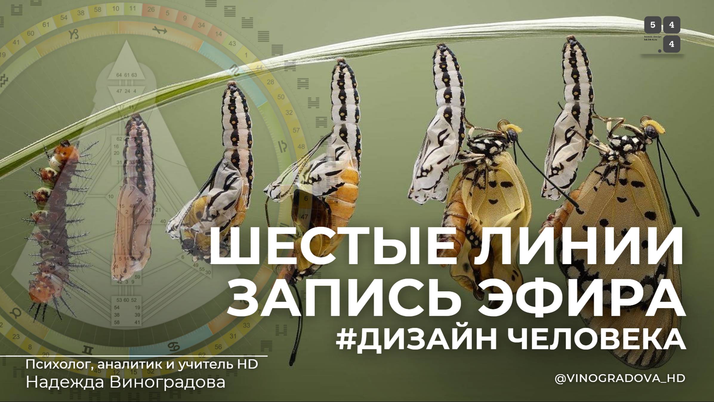 Шестые линии. Запись эфира | Надежда Виноградова. OSHD 54.4  #дизайнчеловека