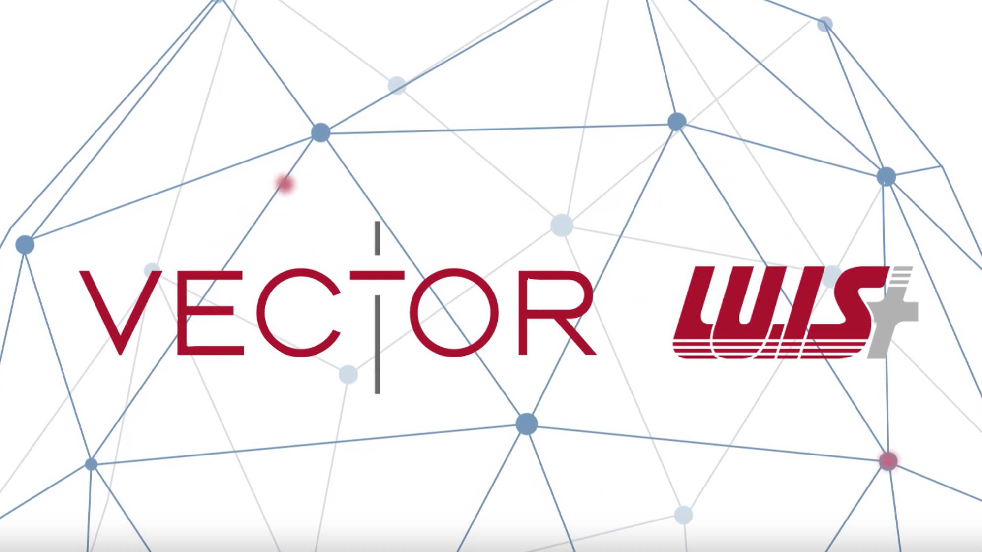 Профессиональная система снабжения B2B-портал VECTOR от LUIS+