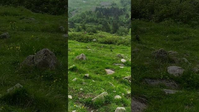 #УщельеТерскол._Дорога_к_водопаду#Приэльбрусье.mp4