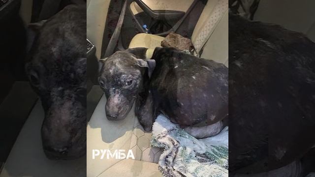 «Люди, которые думают, что они ничего не меняют- действительно ничего не меняют…» (с)