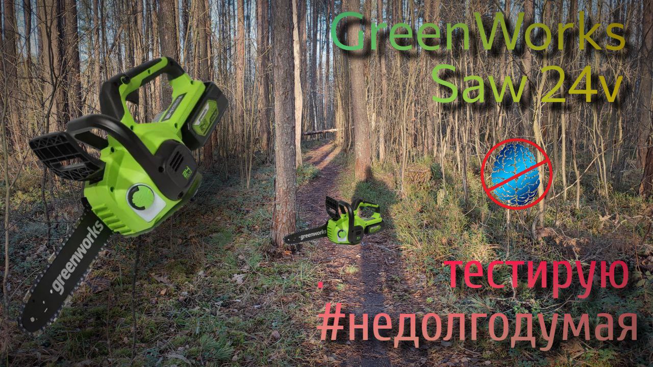 GreenWorks ChainSaw 24V, купил #недолгодумая аккумуляторную пилу. В пролёте или сойдёт? G24CS25K2