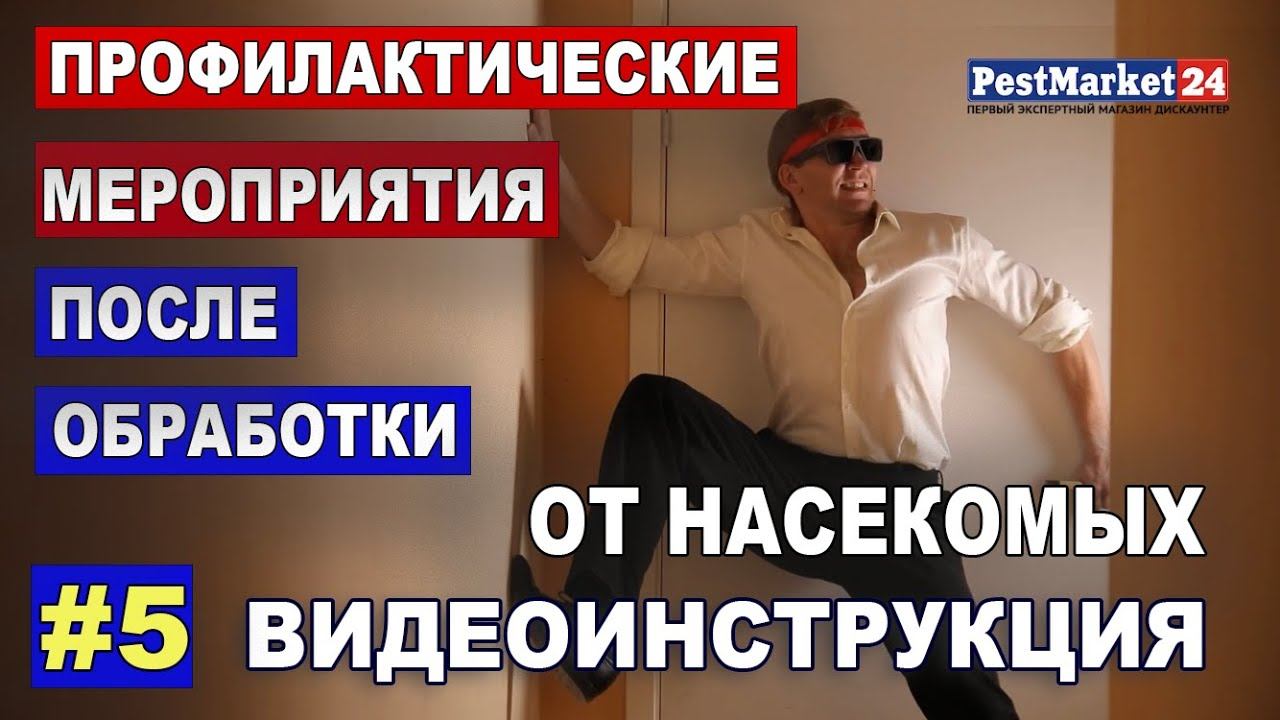 Профилактические мероприятия от насекомых. Как обезопасить себя от появления насекомых? ВИДЕООБЗОР