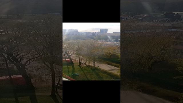 ПАРК БАБУШКИНА КОЛЕСО ОБОЗРЕНИЯ ЭТО ПИТЕР ДЕТКА ТИПИЧНЫЙ ВЕСНА ПРИРОДА