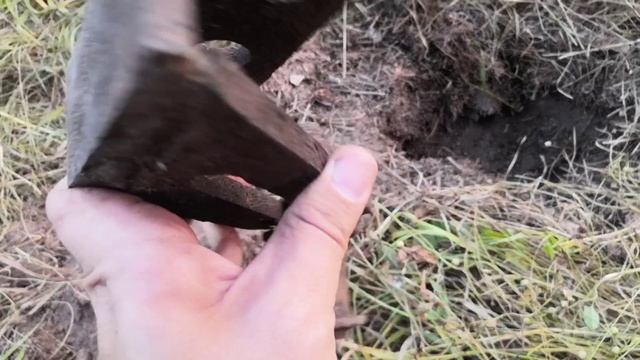 Первый коп с металлоискателем