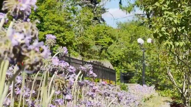 День города 2022