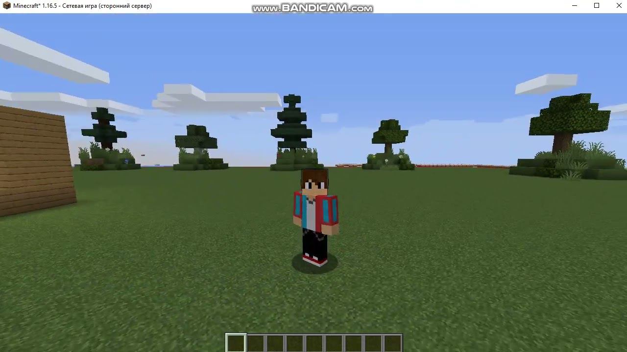 ProgMine Launcher. Обновление Forge - MC 1.16.5 и система скинов.